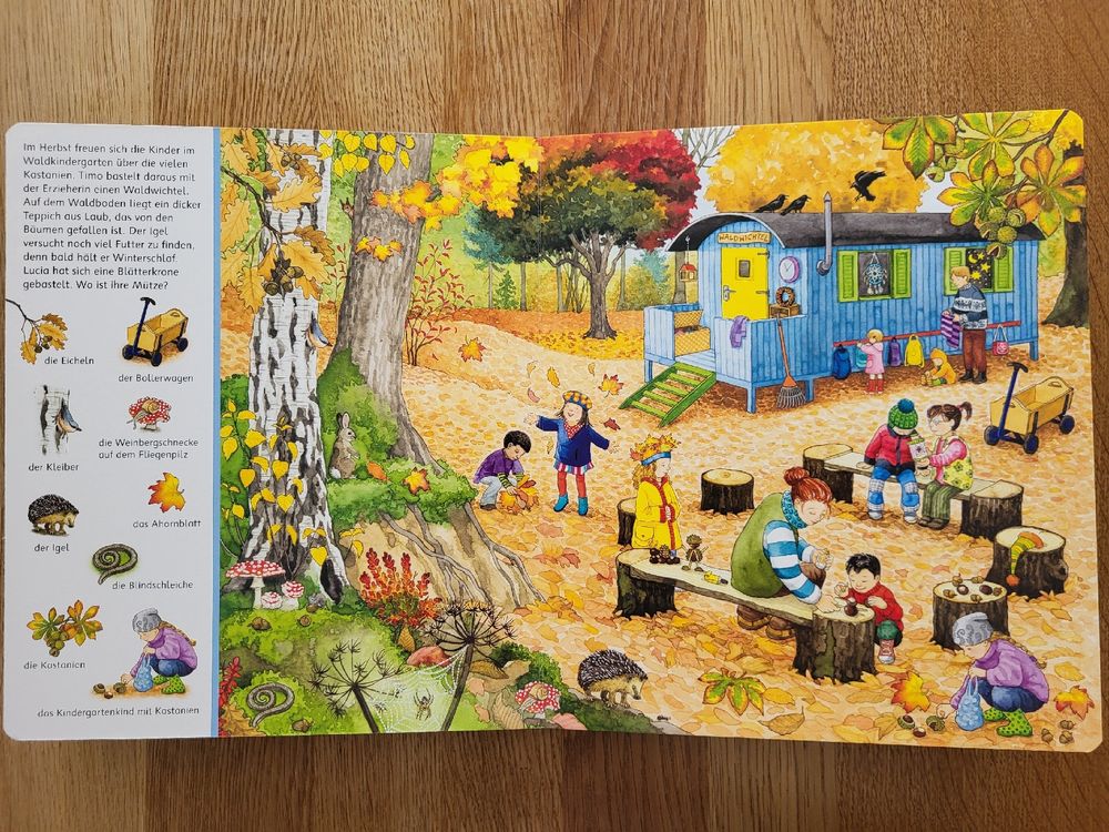 Ravensburger Mein grosses Sachen suchen Bei uns im Wald (Gebraucht) in ...