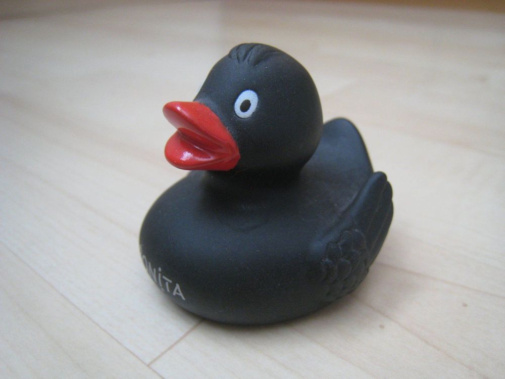 schwarze Badeente Mini Ente Plastik Bonita (Gebraucht) in Dättlikon für ...
