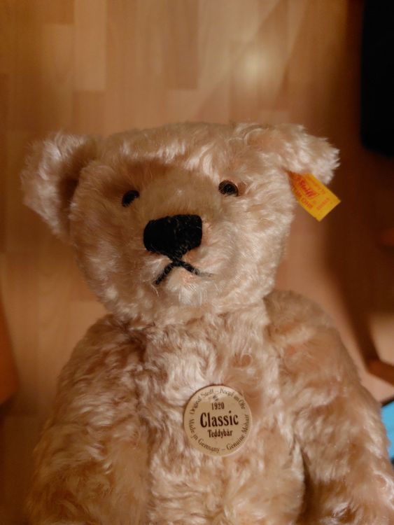 Original Steiff Bär, 33 cm gross (Gebraucht) in Pfäffikon ZH für CHF 43 ...
