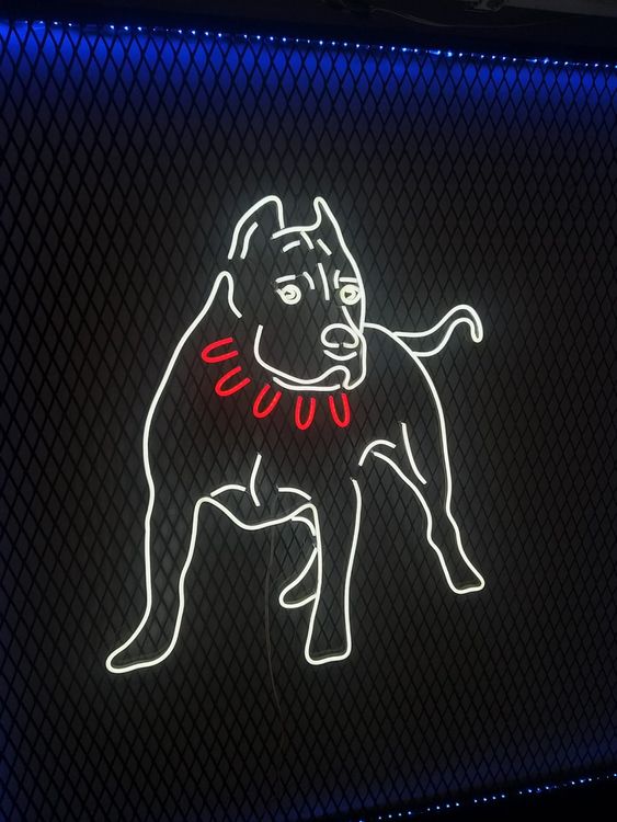 Pitbull Neon Leuchtschild | Pitbull Neon Wandleuchte Dekor (Neu und ...