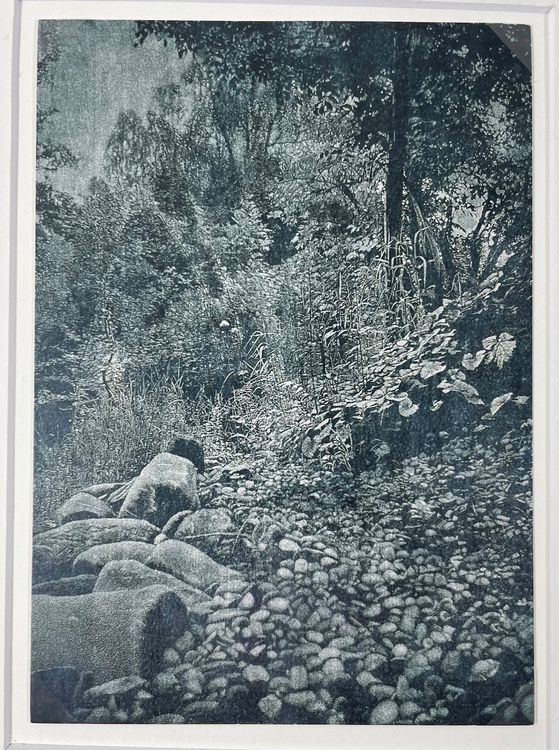 Franz Gertsch (1930-2022) Grafik Handsigniert (Gebraucht) in Root für CHF 210 – mit Lieferung ...