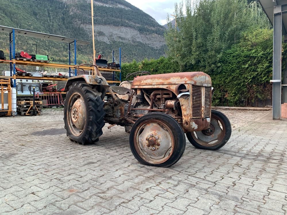 Traktor Ferguson | Kaufen auf Ricardo