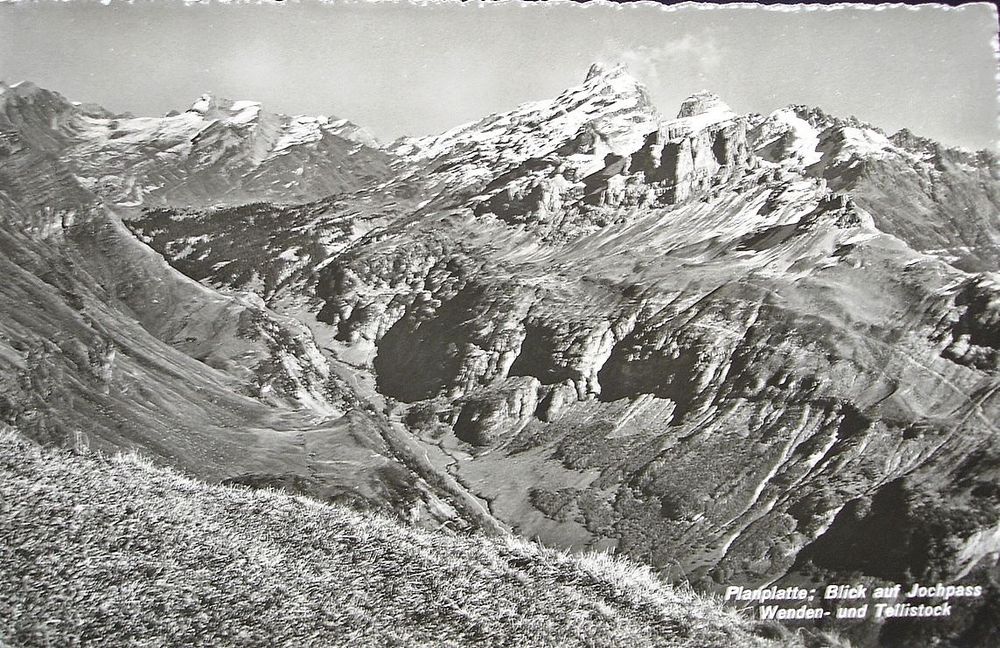 PLANPLATTE (Neu (gemäss Beschreibung)) in Jona für CHF 3.9 – mit Lieferung auf Ricardo kaufen