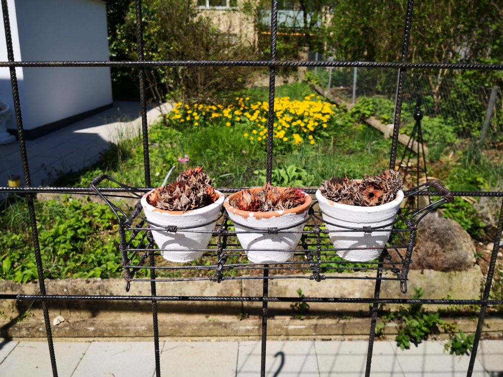 🤩SHABBY CHIC DEKO-GITTER & 6 PFLANZEN-GESTELLE SCHWARZ (Gebraucht) in ...