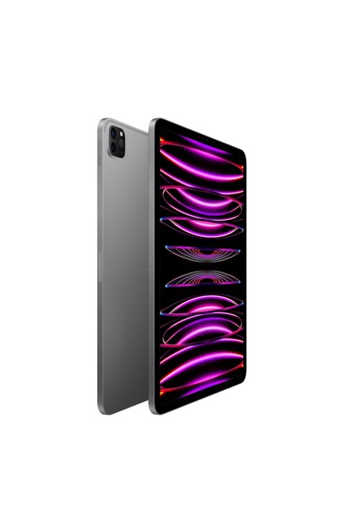 Apple iPad Pro 2022 | Kaufen auf Ricardo