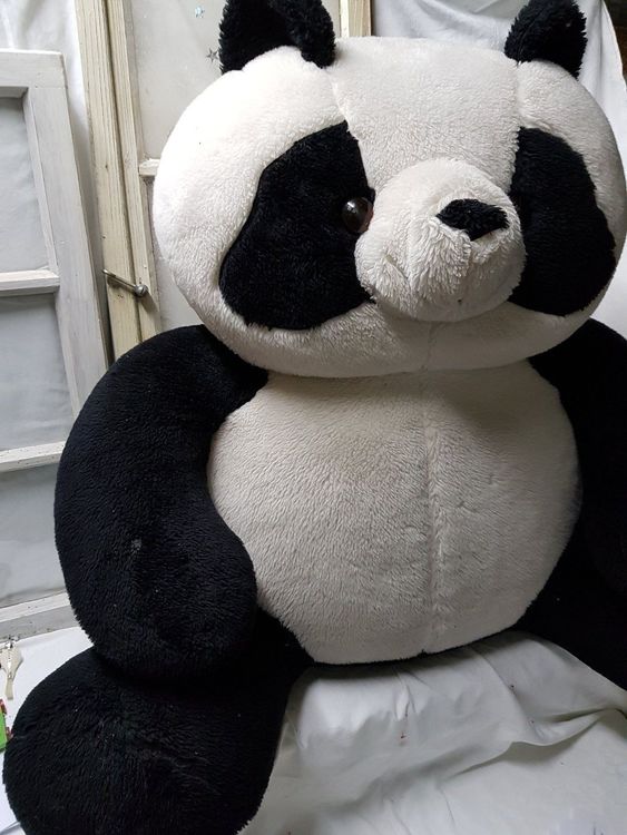 Panda XXL Kuscheltier (Gebraucht) in Nottwil für CHF 1 – mit Lieferung ...