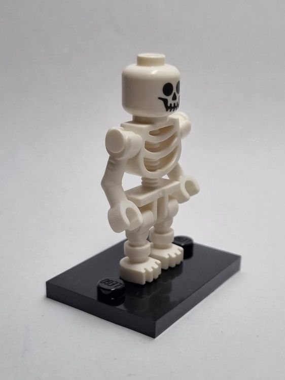 LEGO Ninjago gen069 Skeleton with Standard Skull (Gebraucht) in ...