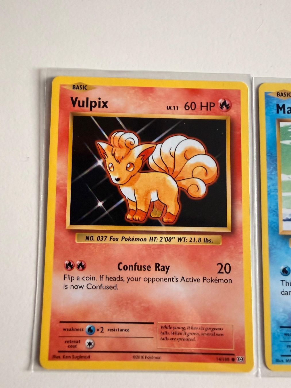 Original Vulpix & Magikarp Pokemon Karten Set - Top! (Neu (gemäss ...