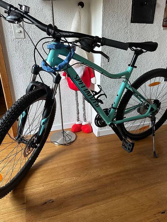 Specialized Hardtail türkis Damen L (165 bis 175 cm) (Gebraucht) in Wohlen für CHF 300 – nur ...