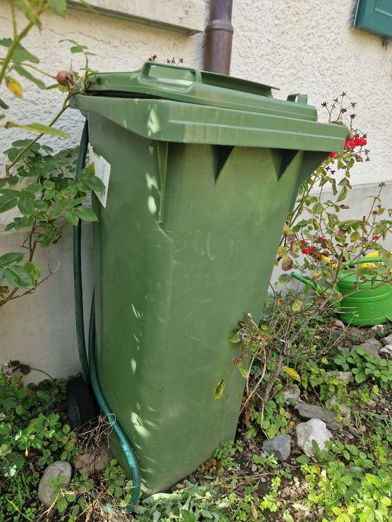 Grüngut Container 140l (Gebraucht) in Bern für CHF 5 – nur Abholung auf ...