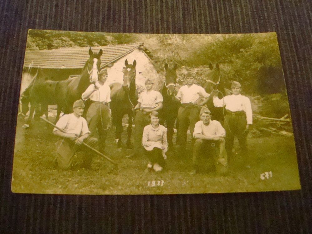 AK Schweizer Militär - Armee - Soldaten - Pferde (Gebraucht) in Neuenegg für CHF 3.8 – mit ...