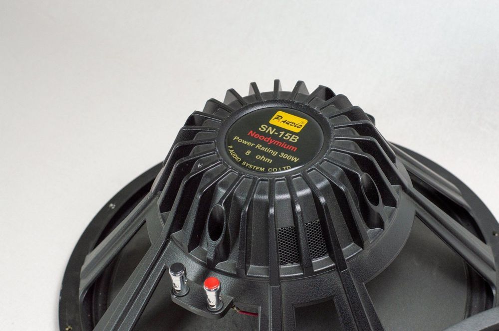 P-Audio SN15B 300W 8 ohm (LF-MF) Neu | Kaufen auf Ricardo