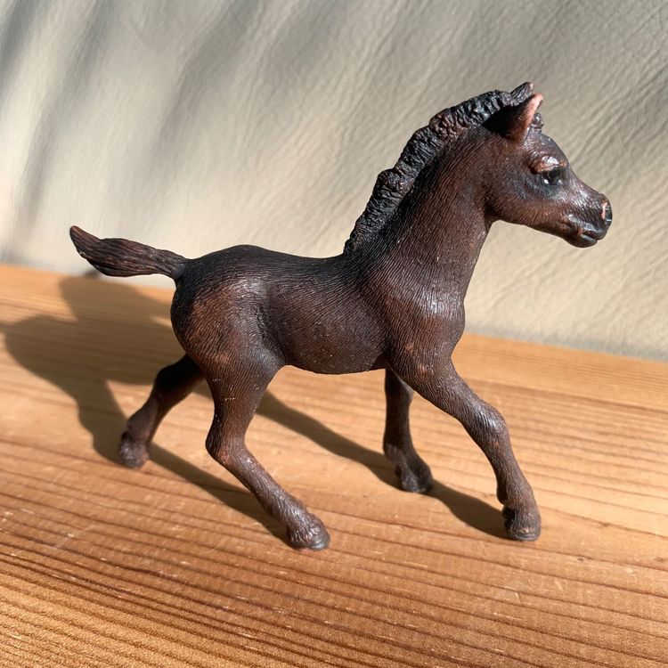 SCHLEICH Pferd • Araber Fohlen dunkelbraun (Gebraucht) in Winterthur für CHF 3 – mit Lieferung ...