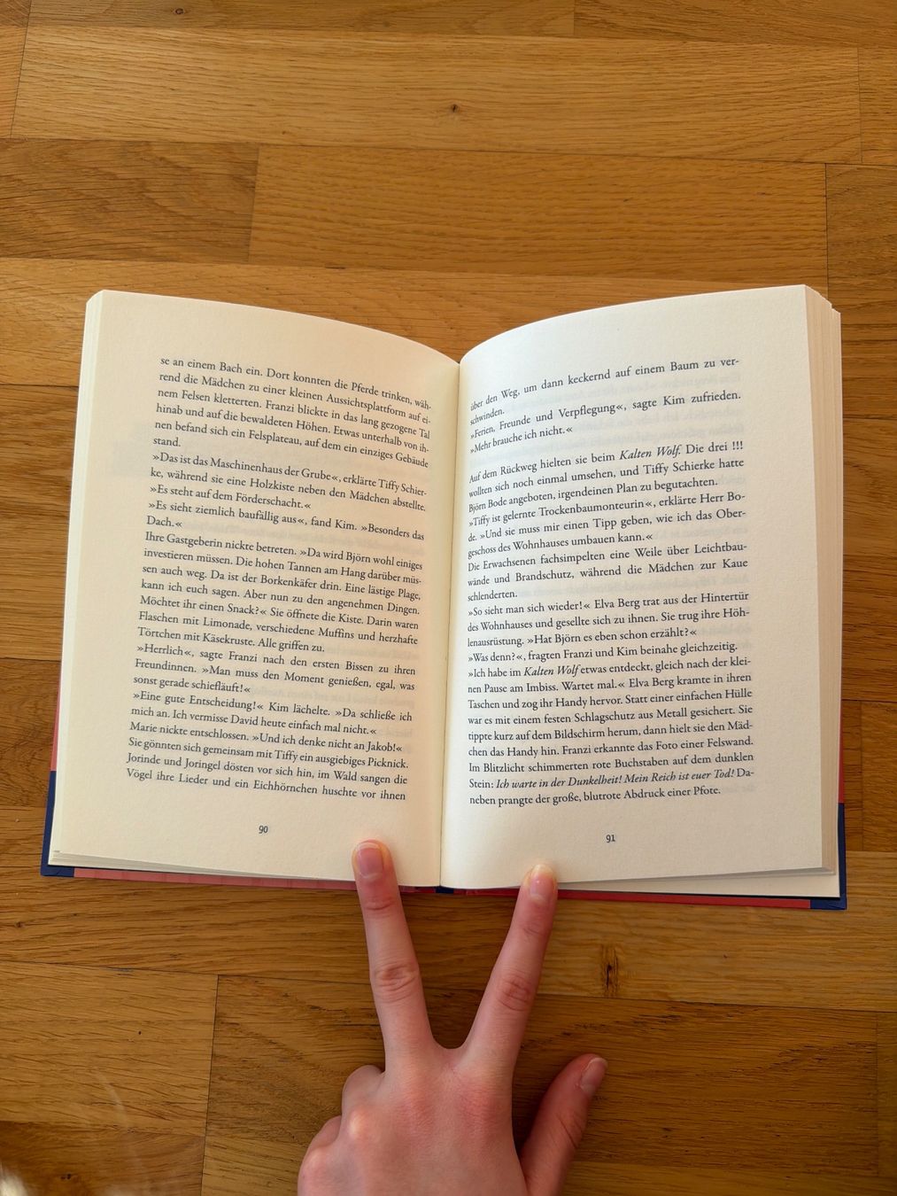 Die drei!!! - Abenteuer-Küsse, Jugendbuch Top Zustand! (Neu (gemäss ...