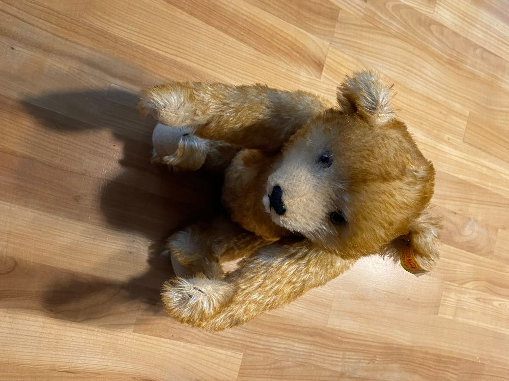 Steiff Teddy Bär ( mit Ton ) (Gebraucht) in Rümlang für CHF 22 – mit ...