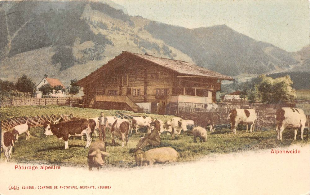 Alpenweide, Kühe, Chalet | Kaufen auf Ricardo