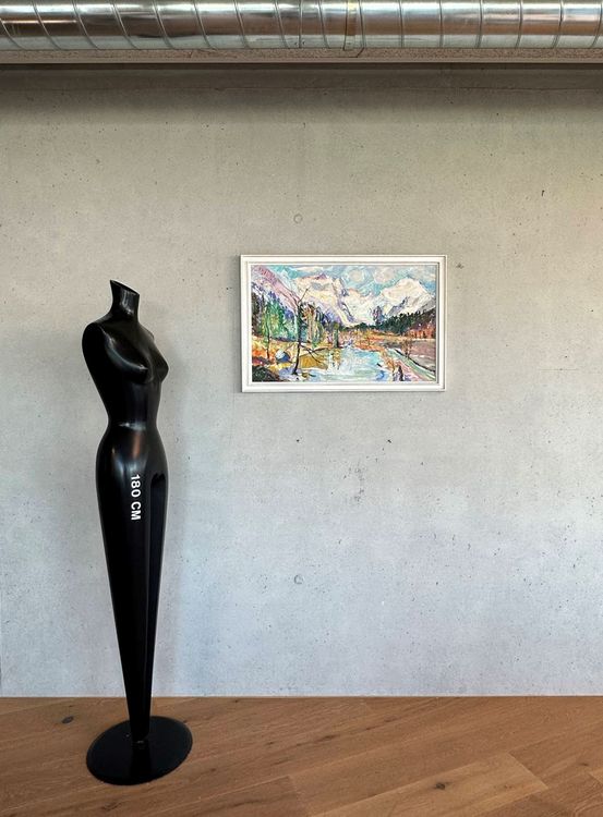 Hans-Rudolf Meyer - Swiss Art Selection (Gebraucht) in Sursee für CHF 280 – mit Lieferung auf ...