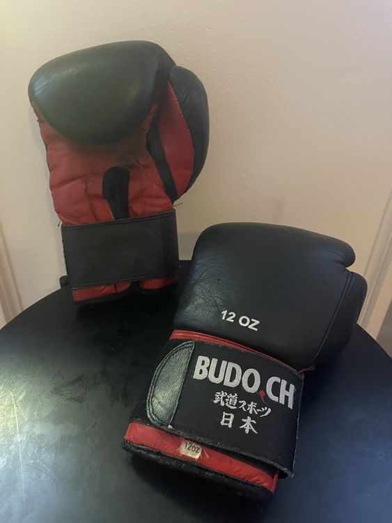 Boxhandschuhe Budo Boxing gloves GRATIS for pickup (Gebraucht) in ...