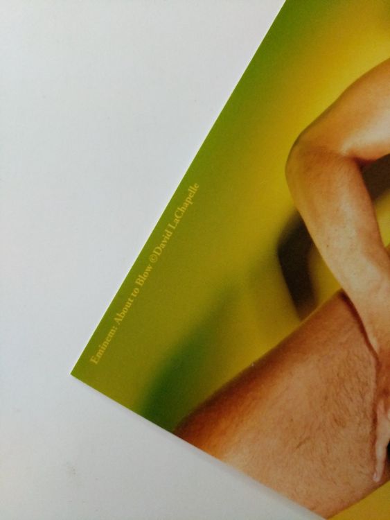 2 Kunstdrucke: David LaChapelle (Eminem), Lisette Modele (Neu (gemäss ...