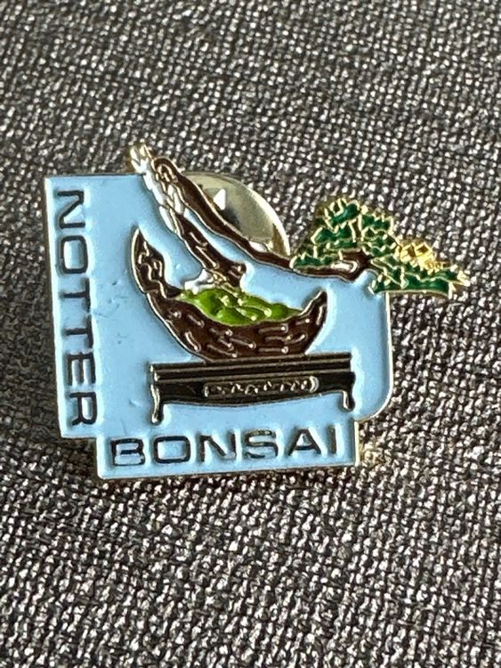 Pin Notter Bonsai (Gebraucht) in Glattbrugg für CHF 1 – mit Lieferung ...
