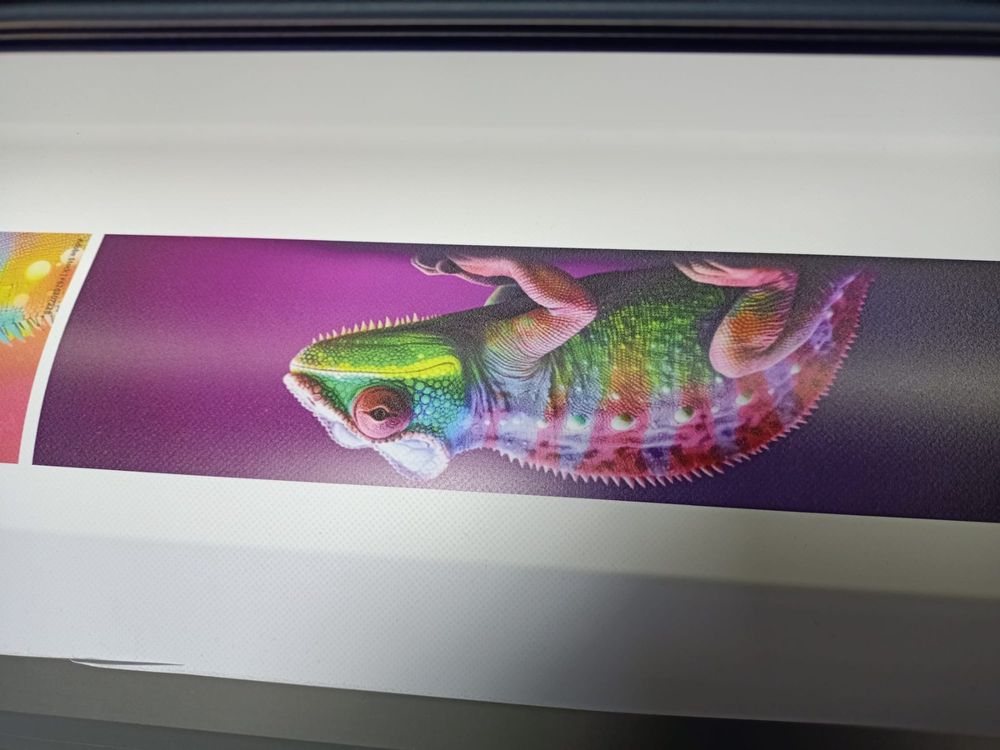 Roland VS-640 - Profi Print & Cut (160cm) Top Zustand (Gebraucht) in ...