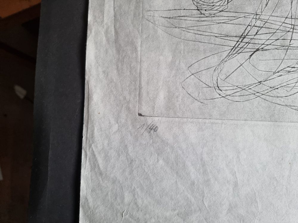 RUDOLF MOSER ORIGINAL GRAFIK SIGNIERT NUMMERIERT (Gebraucht) in Gersau für CHF 45 – mit ...