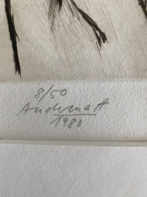 Bild Peter Andermatt (Andi) (Gebraucht) in Safenwil für CHF 21 – mit ...