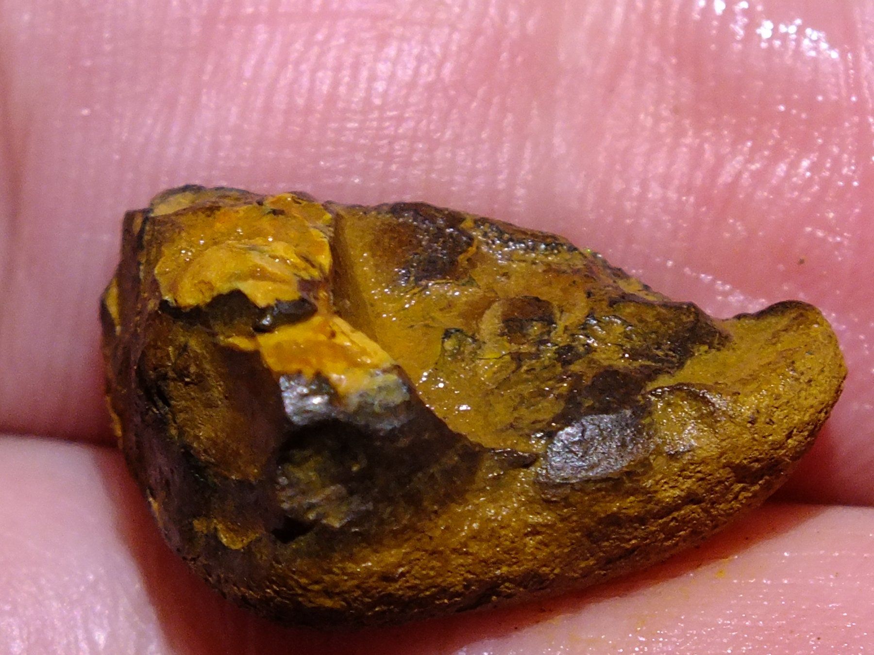 BOULDER ROH OPAL 111 karat Lot TOP QUALITAT Voll Feuer (Neu und ...