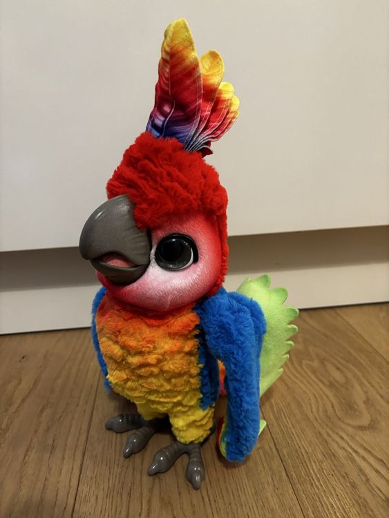 Imagedetailfurreal Papagei Gebraucht Kaufen Nur 4 St Bis 70 Gunstiger 2022 09 01990946