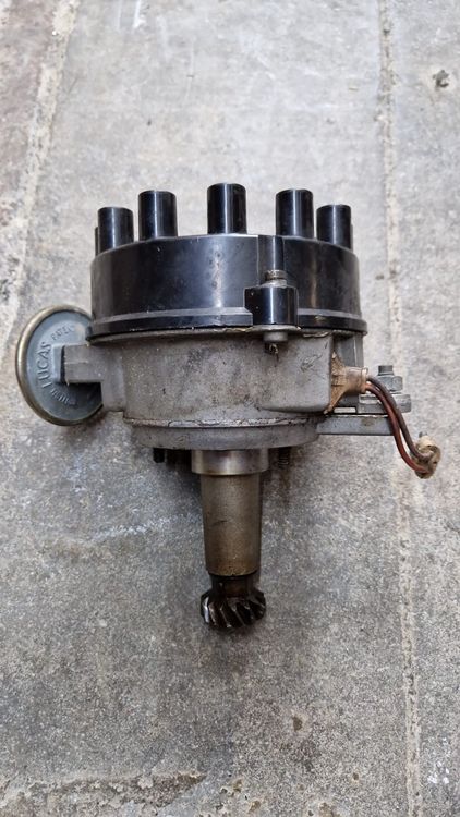 Zündverteiler Lucas Jaguar V12 | Kaufen auf Ricardo
