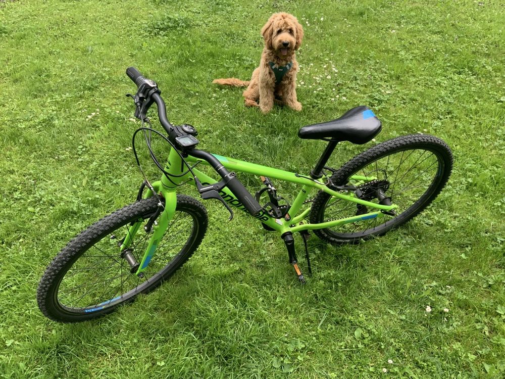 Cannondale Quick 24” kids bike (Gebraucht) in Oberwil b. Zug für CHF ...