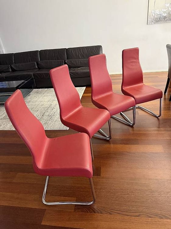 Esszimmer Stühle Echte Leder Rot | Kaufen auf Ricardo