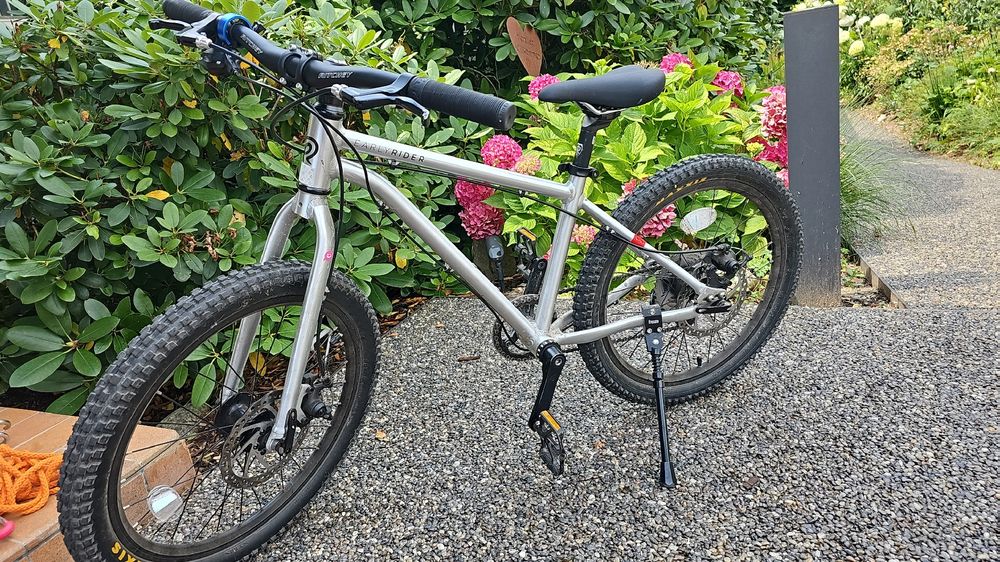Early Rider Hellion Trail 20" | Kaufen auf Ricardo