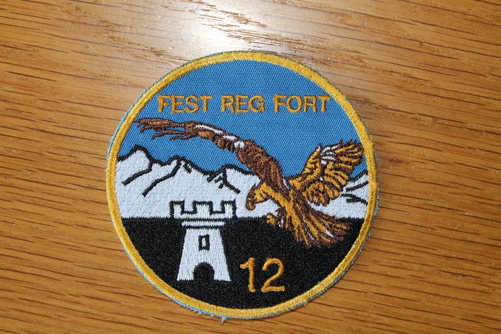 Fest Reg 12, reg fort 12, Festungsregion 12 Badge (Gebraucht) in Belp ...