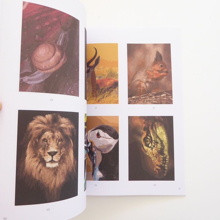 Malen nach Zahlen - 72 Blatt - A4 - Malbuch - Tiere (Neu und originalverpackt) in Basel für CHF ...