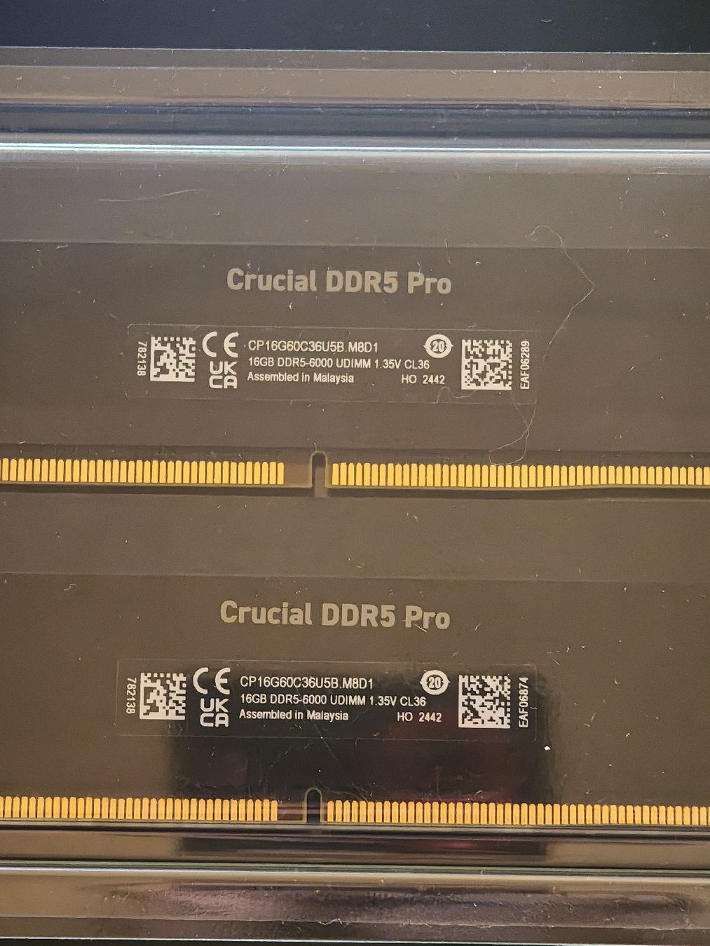 Crucial DDR5 Pro 32GB (2x16GB) DDR5-6000 (Neu (gemäss Beschreibung)) in ...