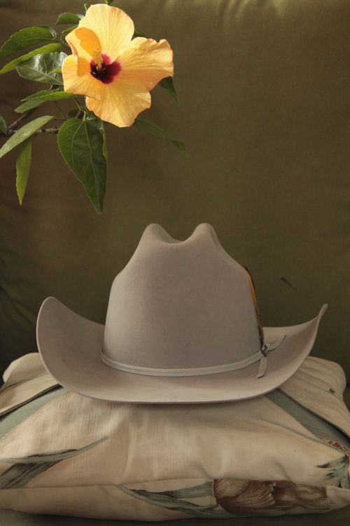 Chapeau Stetson F3010 RANCHER comme neuf (Neu (gemäss Beschreibung)) in ...