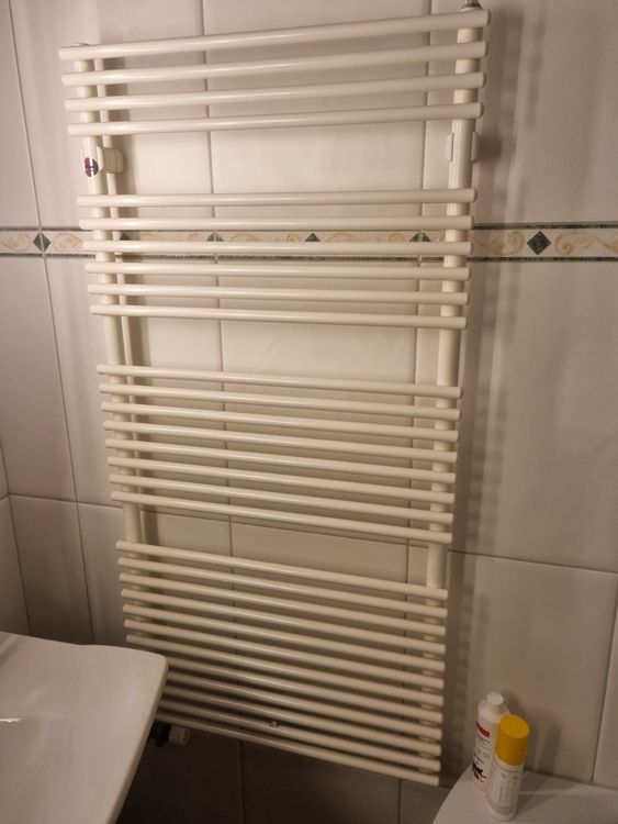 Badezimmer Heizkörper Radiator | Kaufen auf Ricardo