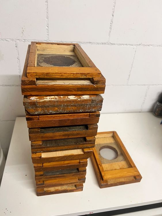 Apidea | Kaufen auf Ricardo