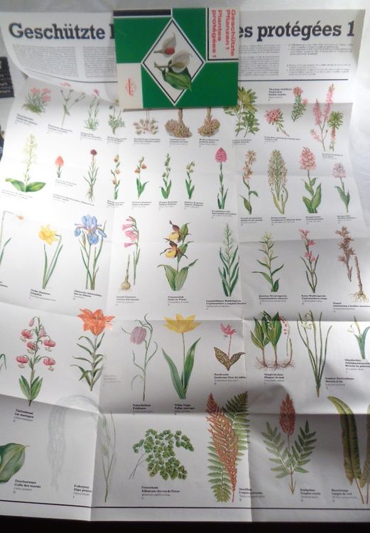 Geschützte Pflanzen 1 + 2 / 2 Grosse Faltbilder ab Fr. 3.- (Gebraucht) in Bellach für CHF 3 ...