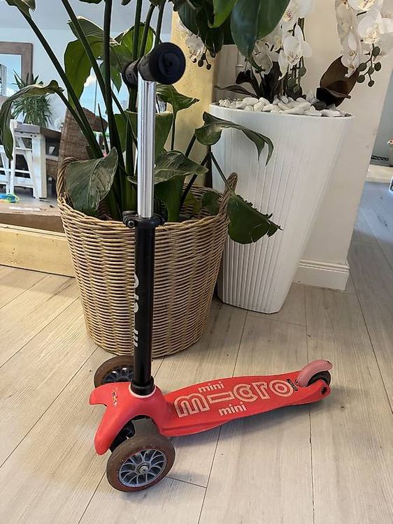 MICRO Trotti (Gebraucht) in Küsnacht ZH für CHF 29 – nur Abholung auf ...