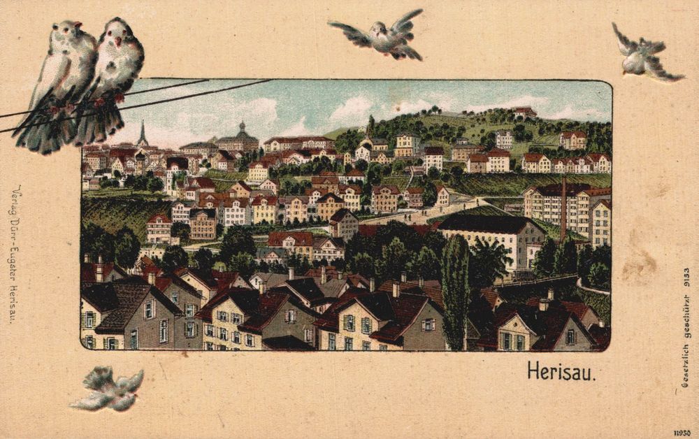 Herisau, Gesamtansicht, Rahmen mit Tauben (Gebraucht) in Bronschhofen für CHF 15 – mit Lieferung ...
