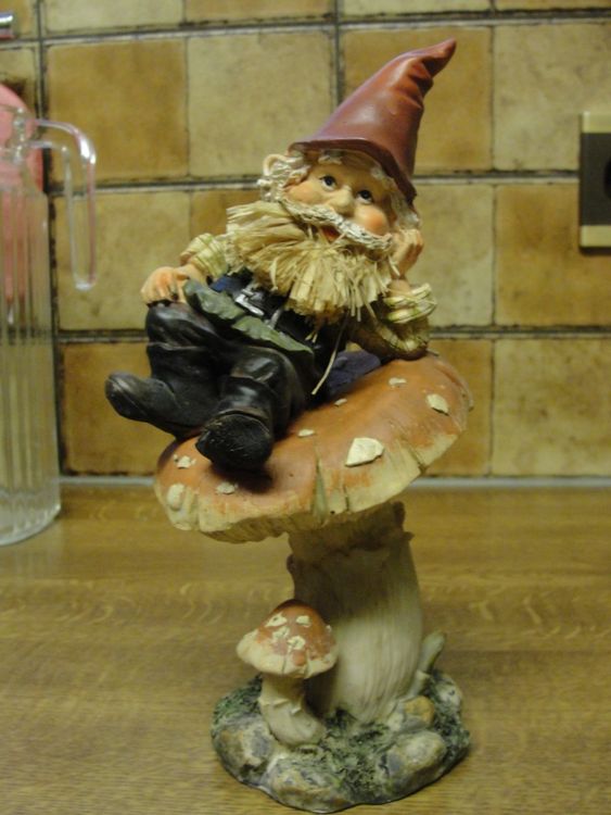 ZWERG AUF FLIEGENPILZ (Neu (gemäss Beschreibung)) in Wetzikon ZH für CHF 5 – mit Lieferung auf ...