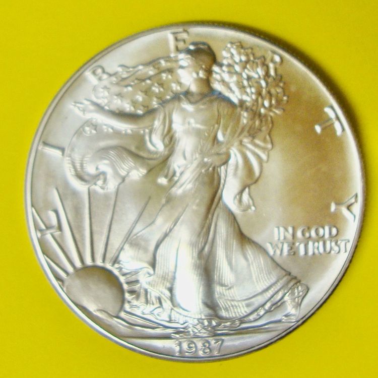 Echte 1 Unze Silberdollar USA 1987 (Gebraucht) in Winterthur für CHF 32 – mit Lieferung auf ...