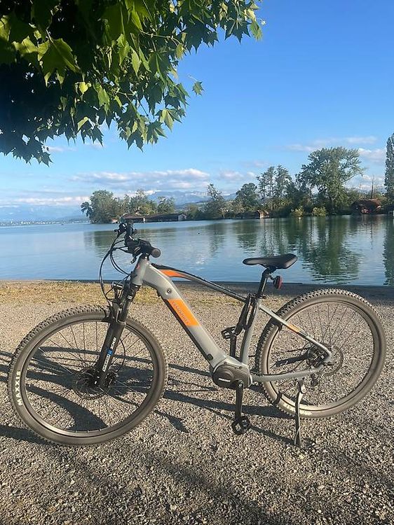 Vecocraft E-Mountain Bike HERMES !!NEU!! (Gebraucht) in Sursee für CHF 1150 – nur Abholung auf ...