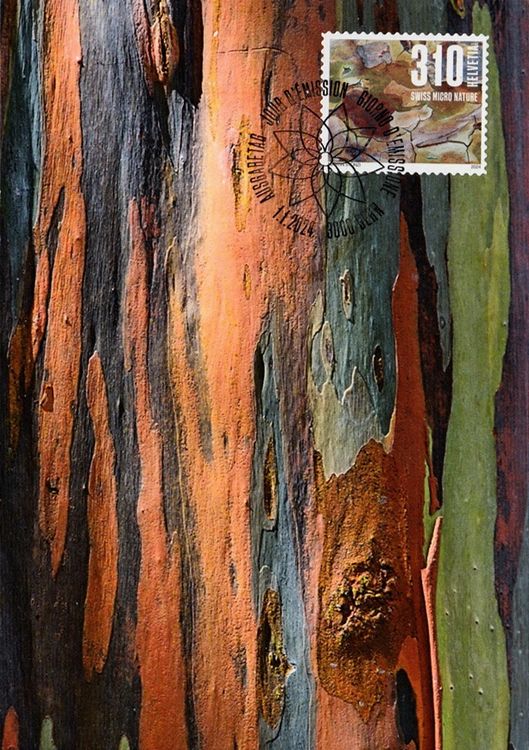 Maximumkarte Naturmuster - Baumrinde (Neu (gemäss Beschreibung)) in Dottikon für CHF 6 – mit ...