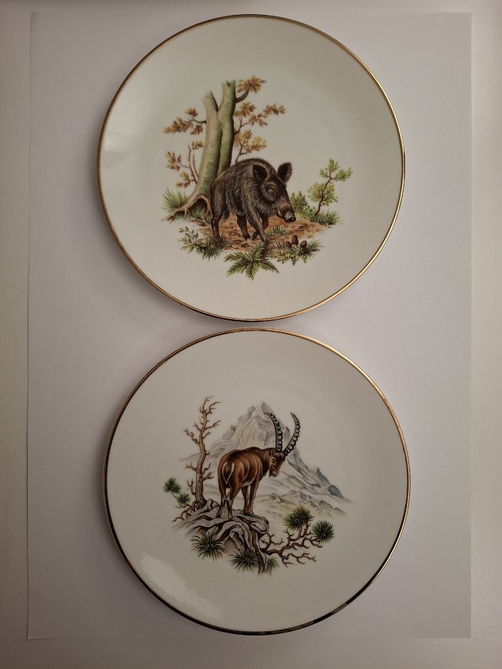 Kaiser Teller-Set mit 5 Stk, verschiedene Wildtiermotive (Gebraucht) in ...