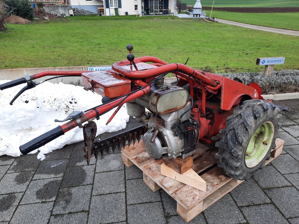 Aebi AM 40 Motormäher (Gebraucht) in Auw für CHF 610 – nur Abholung auf Ricardo kaufen