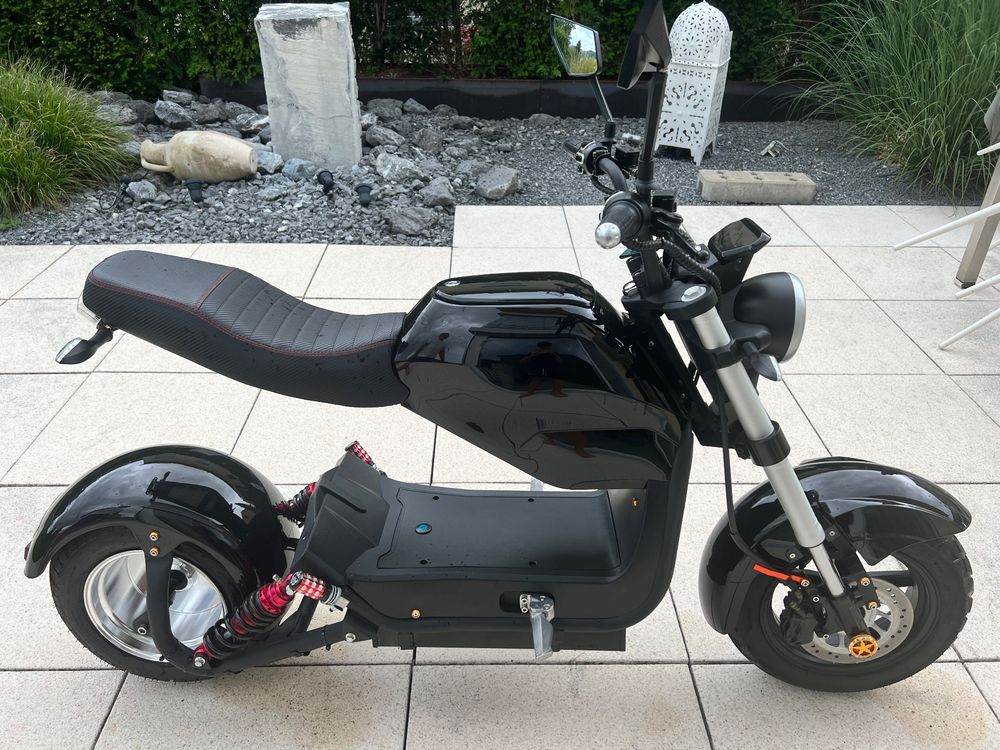 E - Roller / Scooter City Max Züri Flizzer | Kaufen auf Ricardo