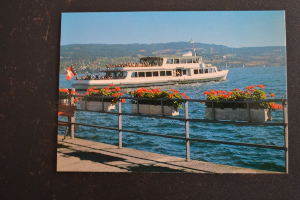AK Am Zürichsee (Gebraucht) in Beinwil am See für CHF 4 – mit Lieferung auf Ricardo kaufen